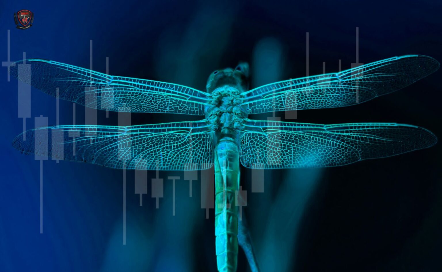 Mastering the Dragonfly Doji: A Trader's Guide to Harnessing Its Power ...